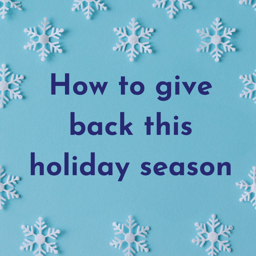 Ways for Teens to Give Back This Holiday Season 2022 – Bleuet
